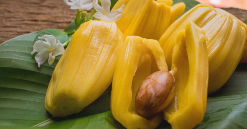 7 Manfaat Mengonsumsi Nangka Untuk Ibu Hamil